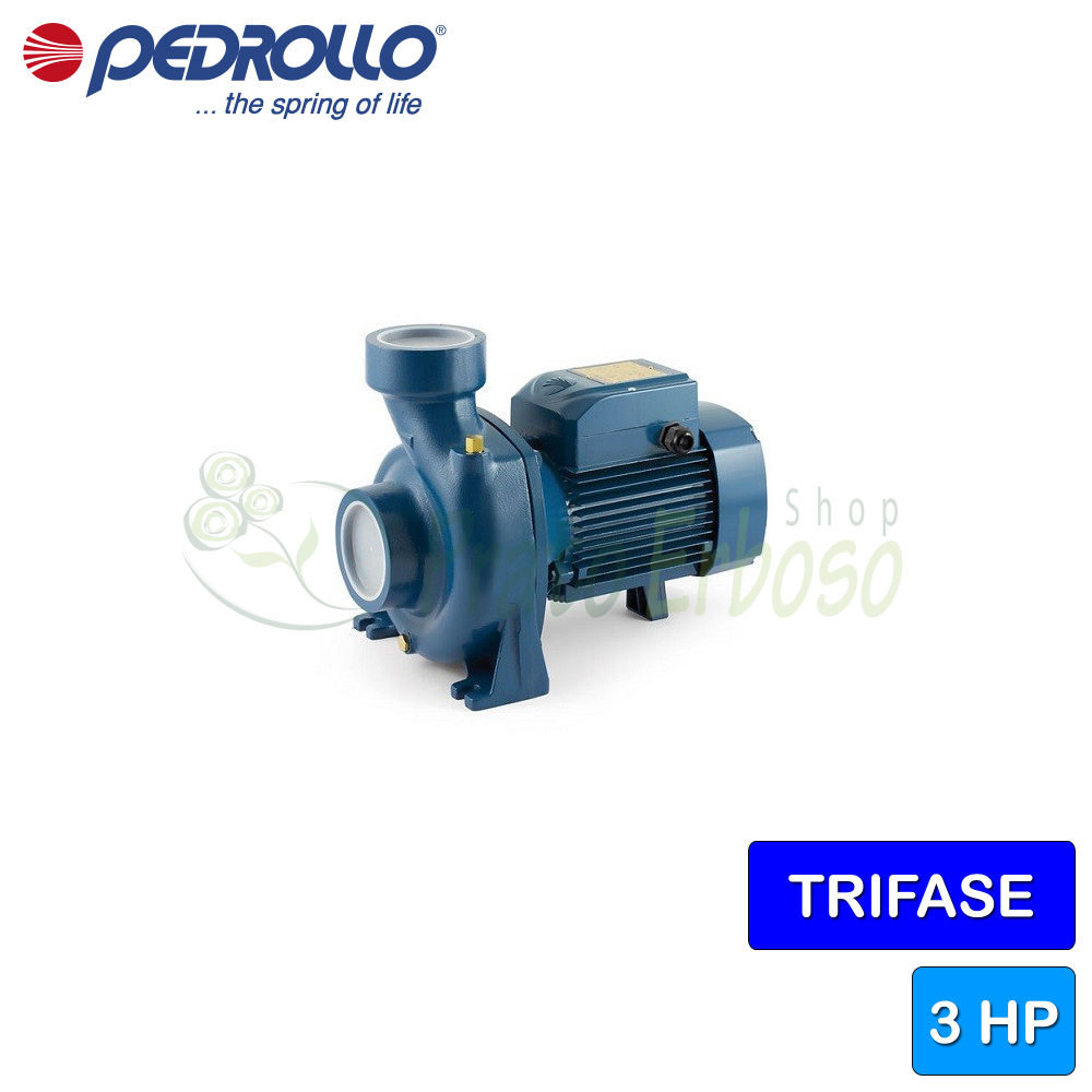 HF 6A - Elettropompa centrifuga trifase da 3 HP - Pedrollo