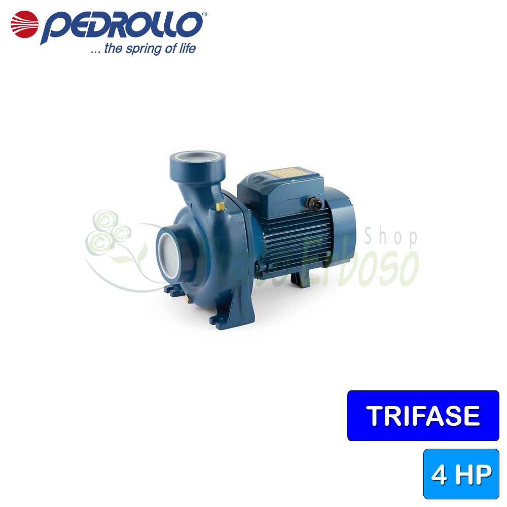HF 20B - Elettropompa centrifuga trifase da 4 HP - Pedrollo