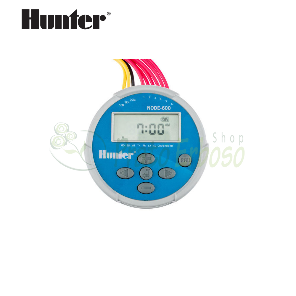 NODE-600 - Centralina 6 zone per pozzetto - Hunter