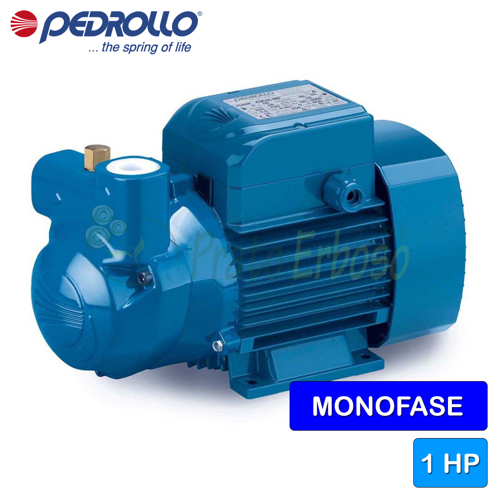 CKRm 90 - Single-phase liquid ring self-priming electric pump - Pedrollo