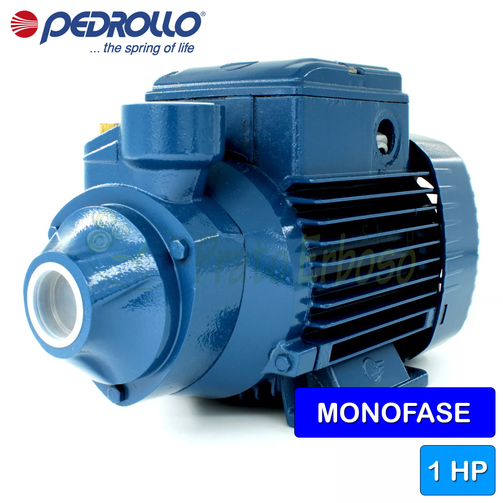 PKm 80 - 1 HP single-phase peripheral impeller electric pump - Pedrollo