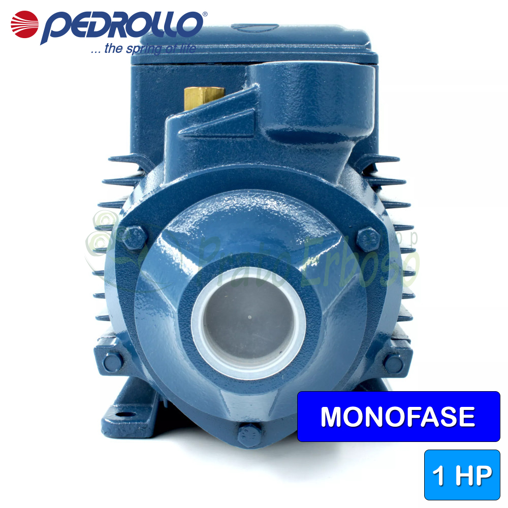 PKm 80 - 1 HP single-phase peripheral impeller electric pump - Pedrollo