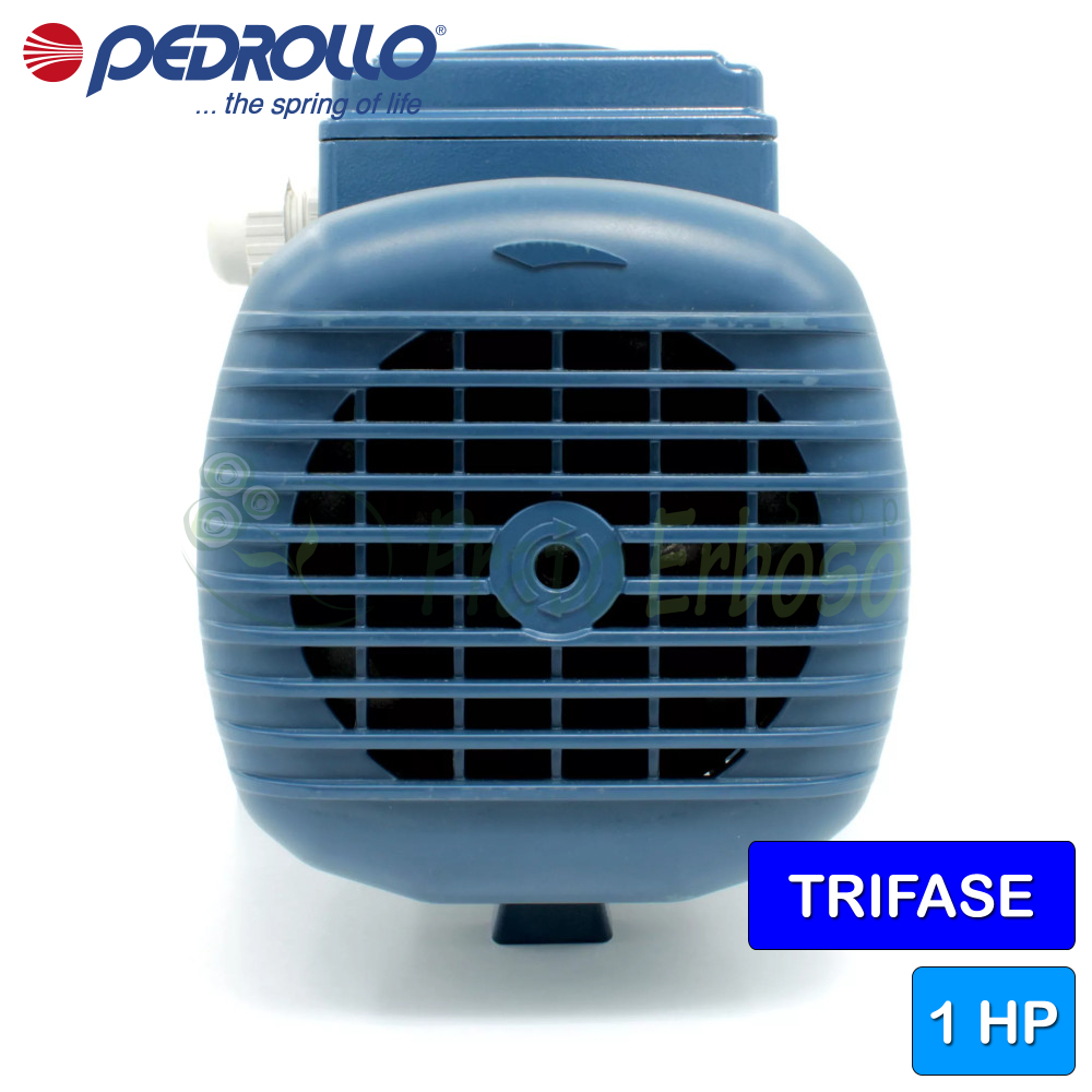 HF 51A - Electrobomba centrífuga trifásica de 1 HP - Pedrollo