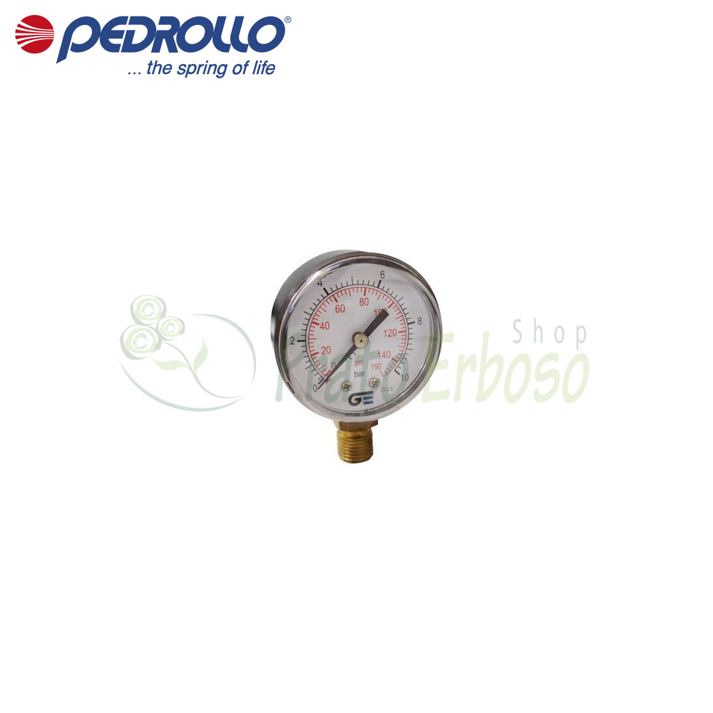 MRG 10 - Manometer - Pedrollo