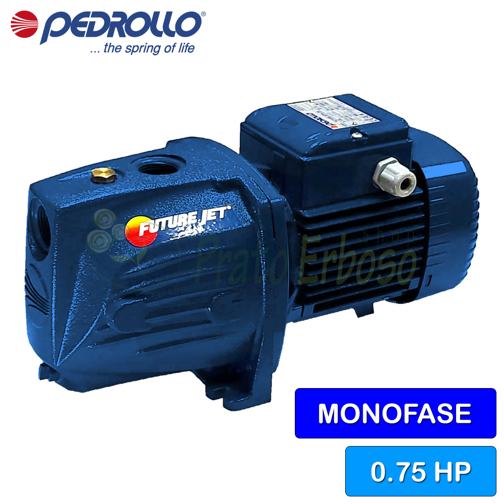 FUTURE JETm 1A - 0.75 HP single-phase self-priming electric pump - Pedrollo