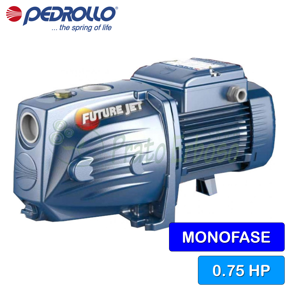 FUTURE JETm 1A - Elettropompa autoadescante monofase da 0.75 HP