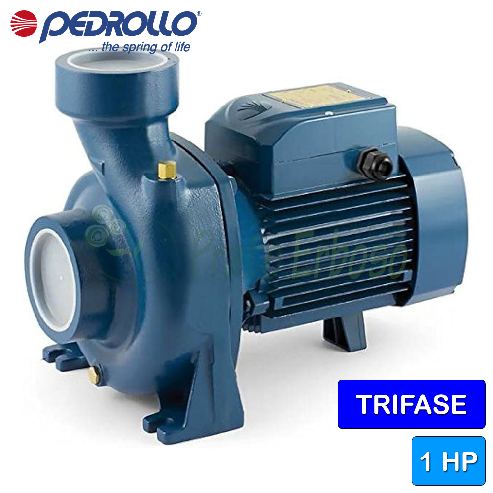 HF 4 - Elettropompa centrifuga trifase da 1 HP - Pedrollo