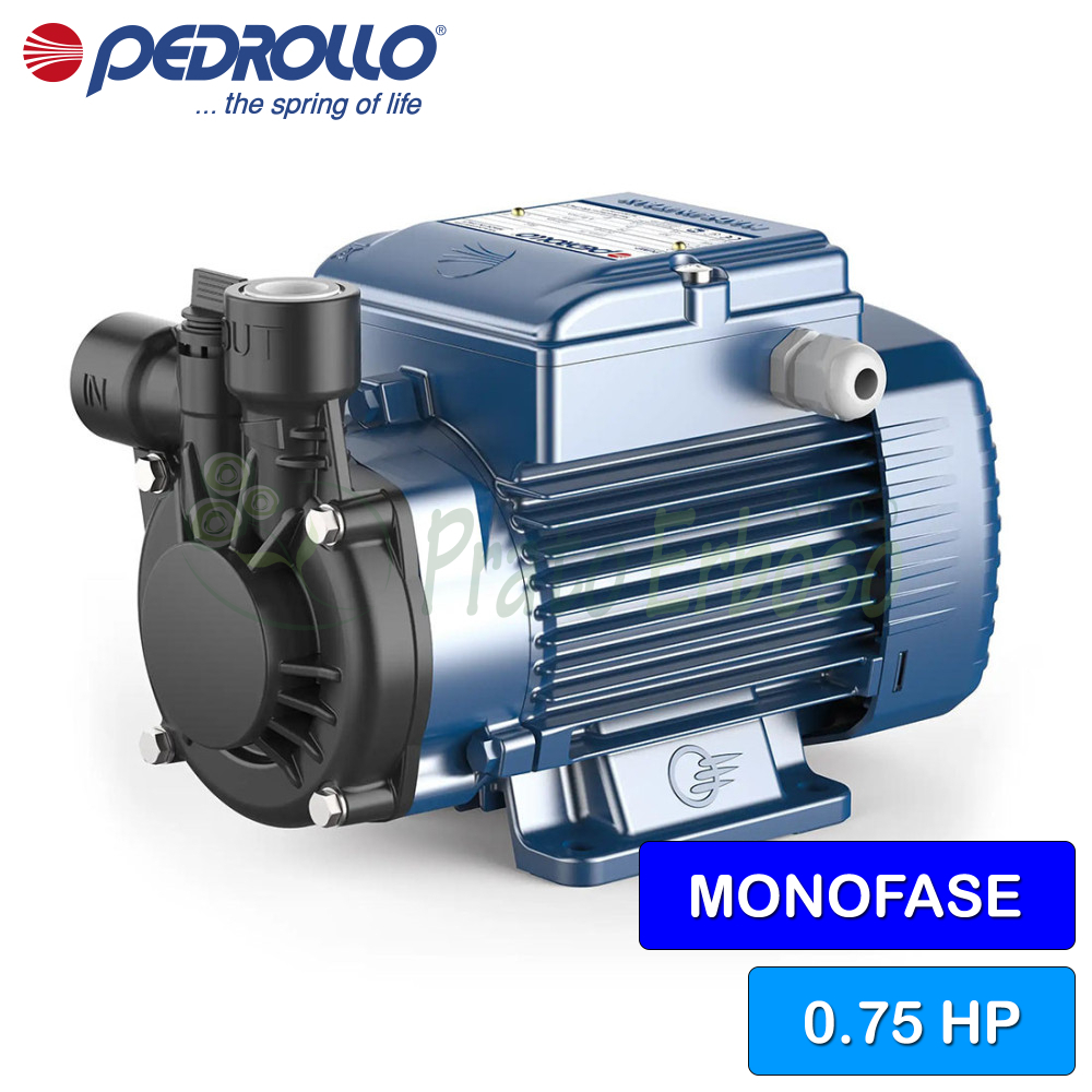 PQm 81-PPS - 0.75 HP single-phase peripheral impeller electric pump