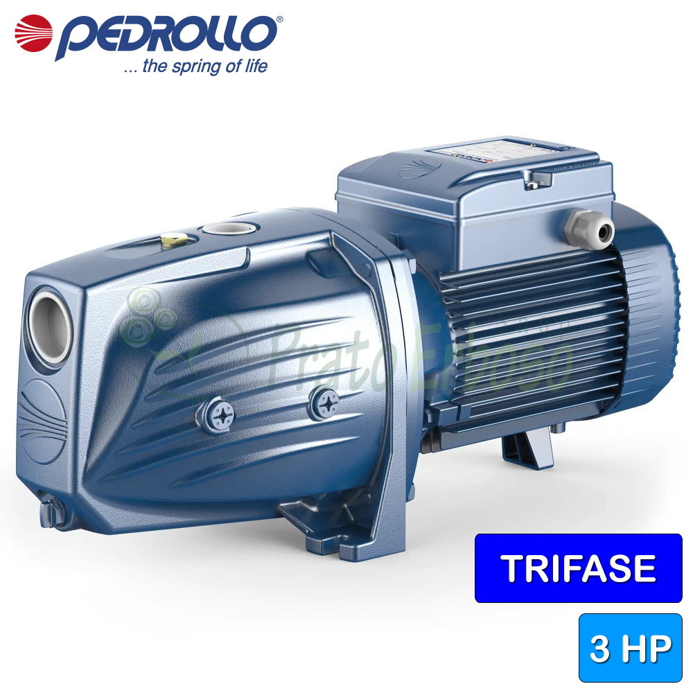 JSWm 3AH - 3 HP Single Phase Self-Priming Electric Pump - Pedrollo