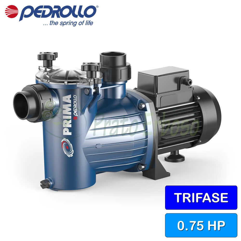 PRIMA 75 - 0.75 HP three-phase electric pool pump - Pedrollo
