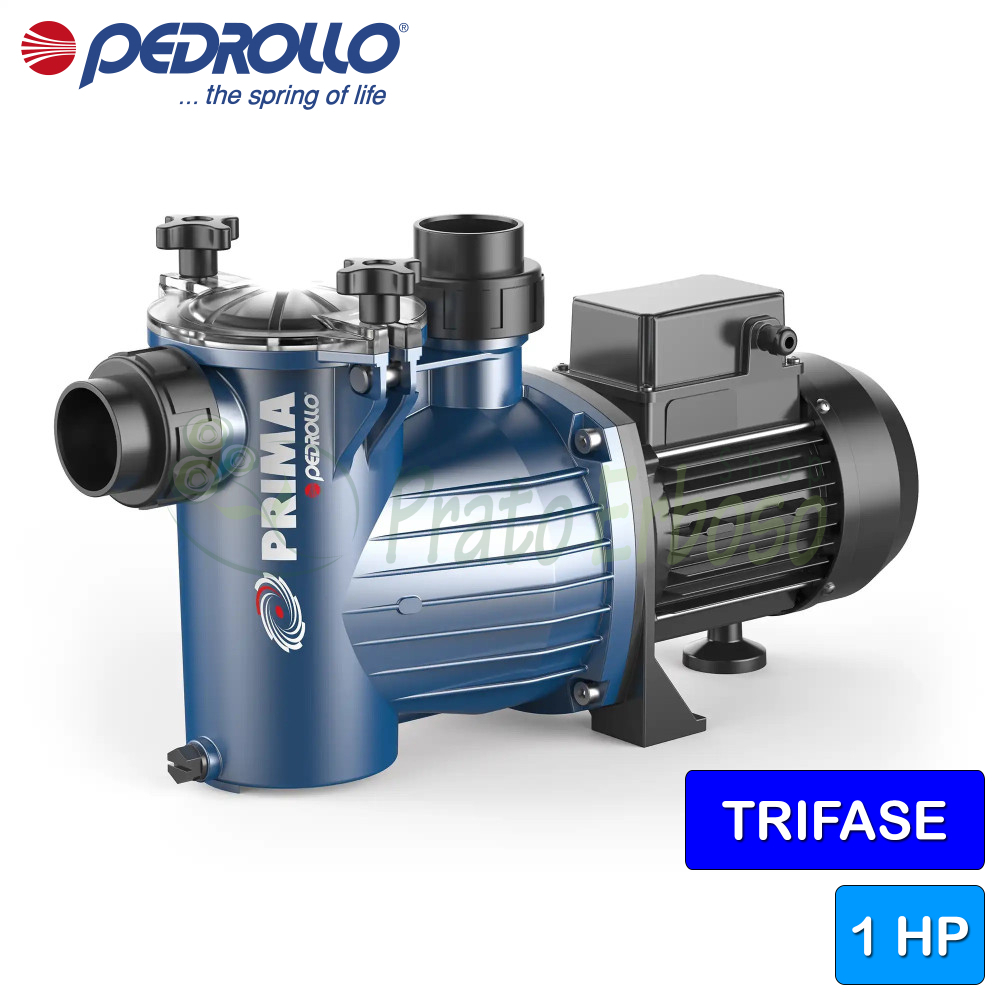PRIMA 100 1 HP three phase electric pool pump Pedrollo