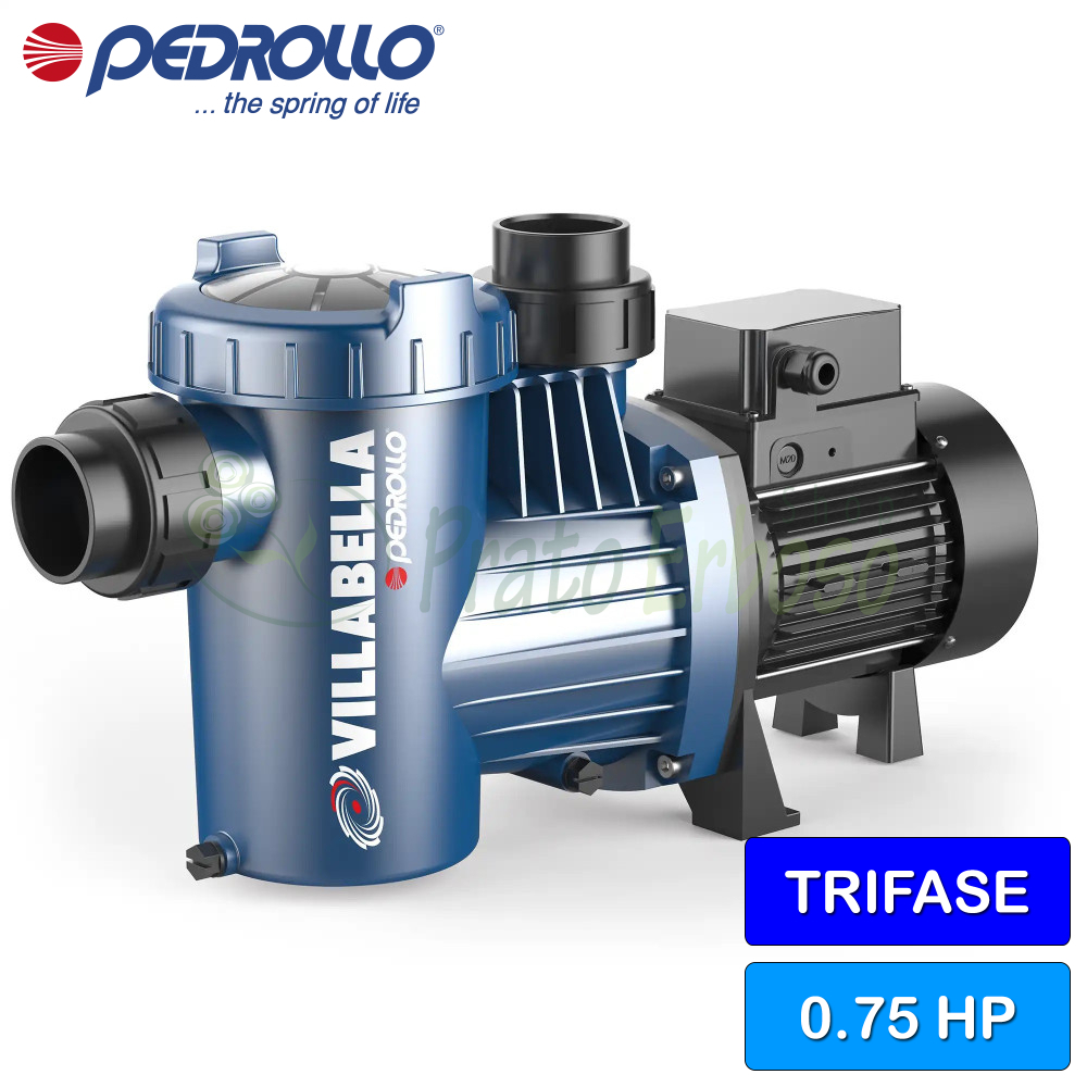 VILLABELLA 75 - Three-phase 0.75 HP electric pool pump - Pedrollo
