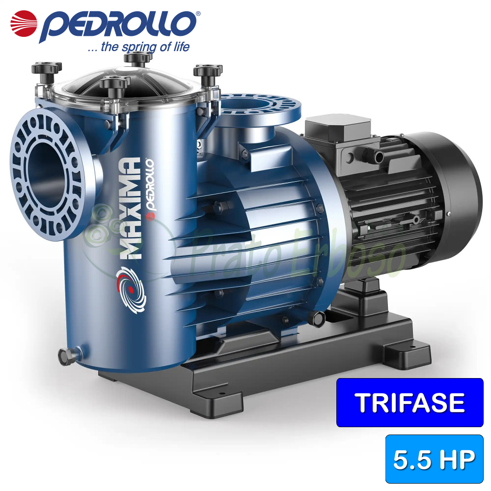 MAXIMA-4 550 - 5.5 HP Three-Phase Electric Pool Pump