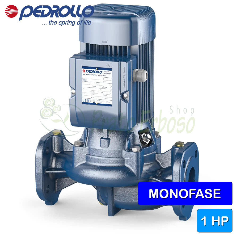 WRm 40/125-SA - Bomba centrífuga eléctrica monofásica de 1 HP - Pedrollo