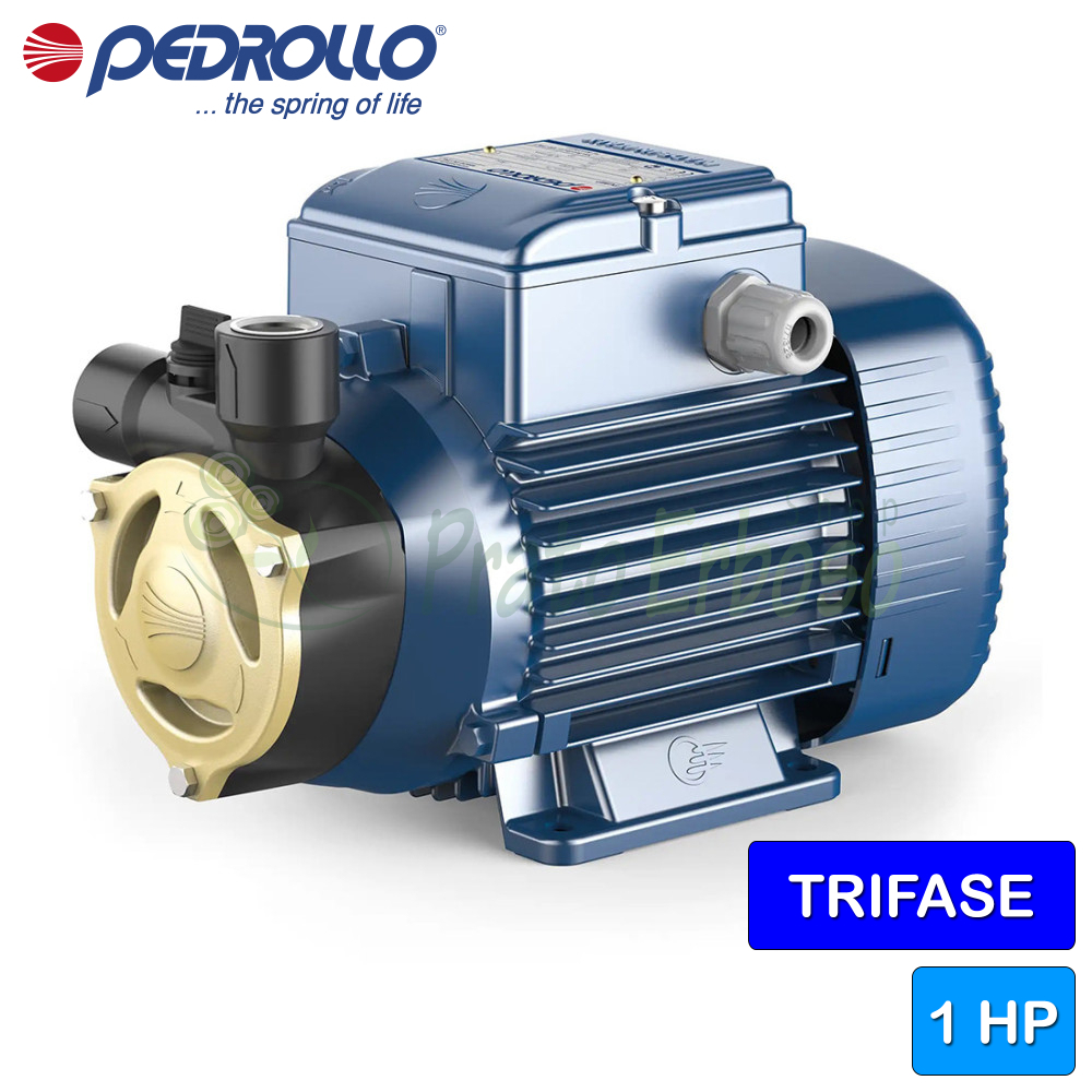 PQA 90 - 1 HP three-phase peripheral impeller electric pump - Pedrollo