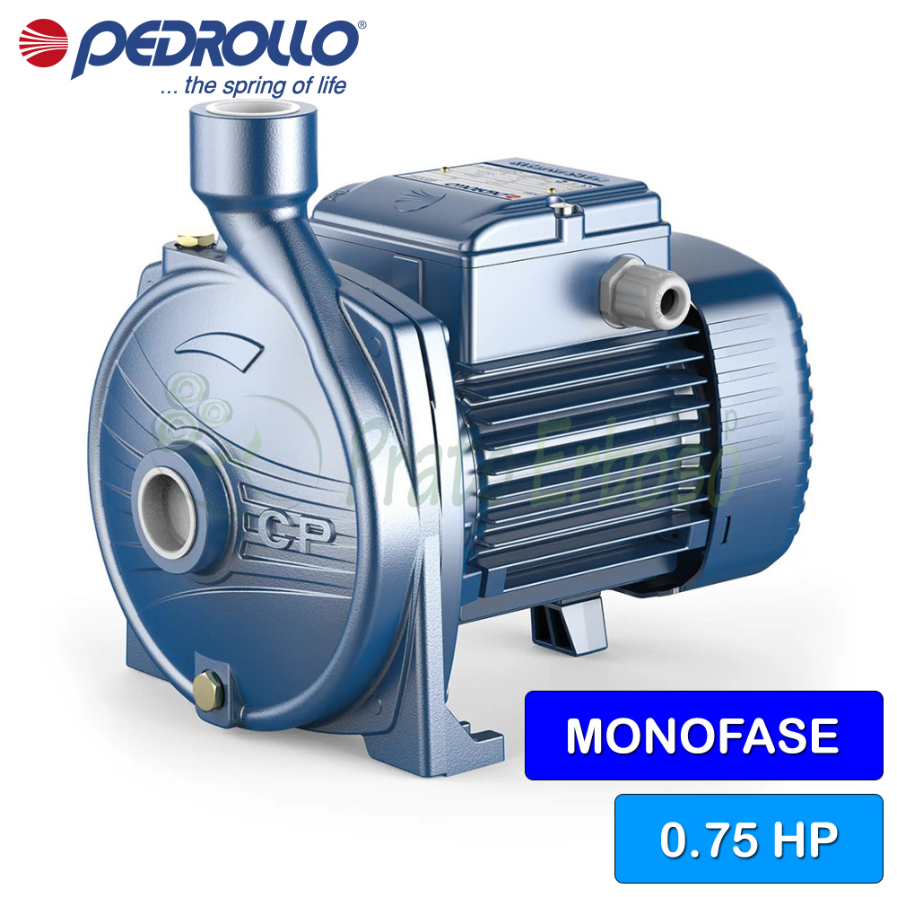 CPm 132 - Électropompe centrifuge monophasée 0,75 CV - Pedrollo