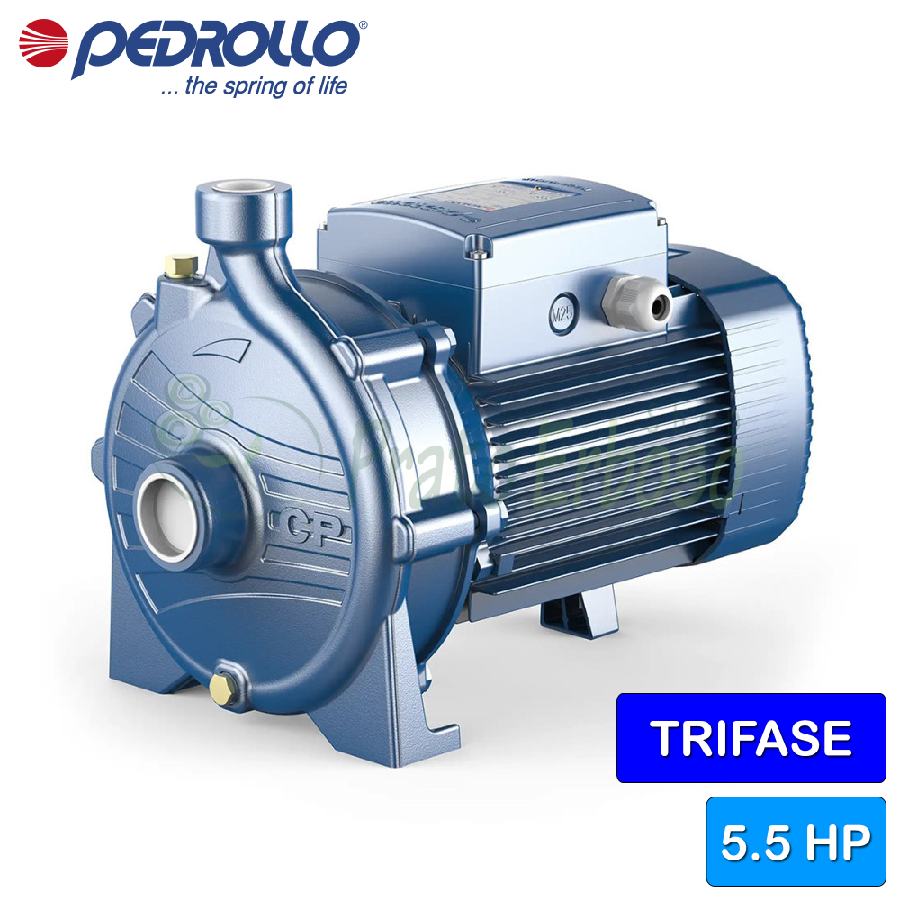 CP 220A - Elettropompa centrifuga trifase da 5.5 HP - Pedrollo