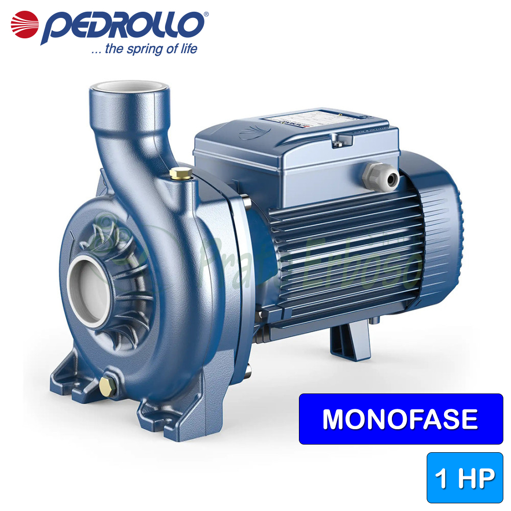 NGAm 1A - Électropompe centrifuge monophasée 1 HP à roue ouverte - Pedrollo