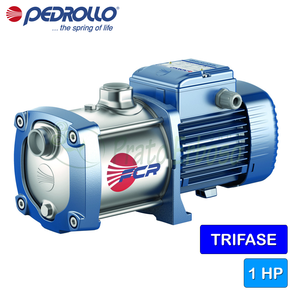 FCR 100/4 - Elettropompa multigirante trifase da 1 HP - Pedrollo