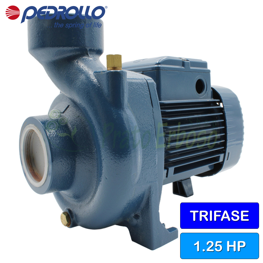 HF 5A - 1.25 HP Three-Phase Centrifugal Electric Pump - Pedrollo