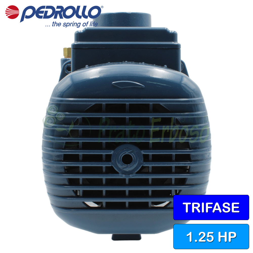 HF 5A - Pompe électrique centrifuge triphasée 1,25 HP - Pedrollo