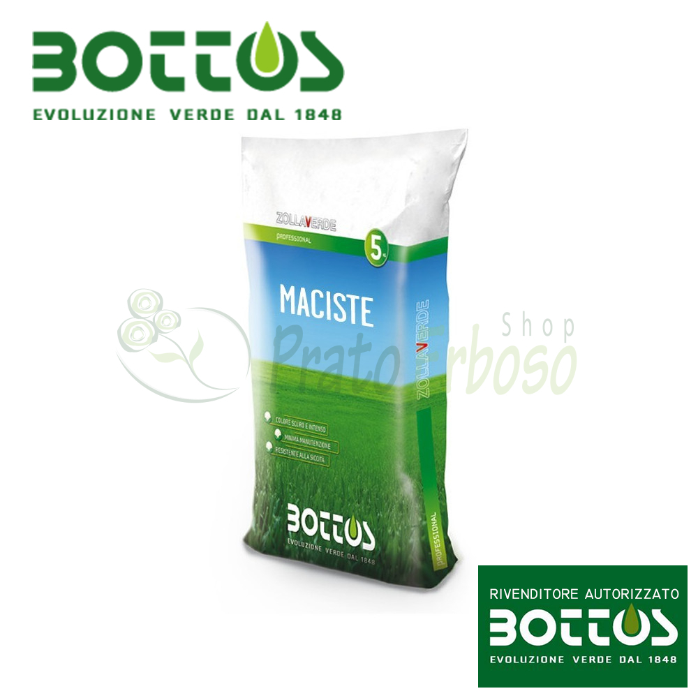 Maciste - 5 kg lawn seeds - Bottos