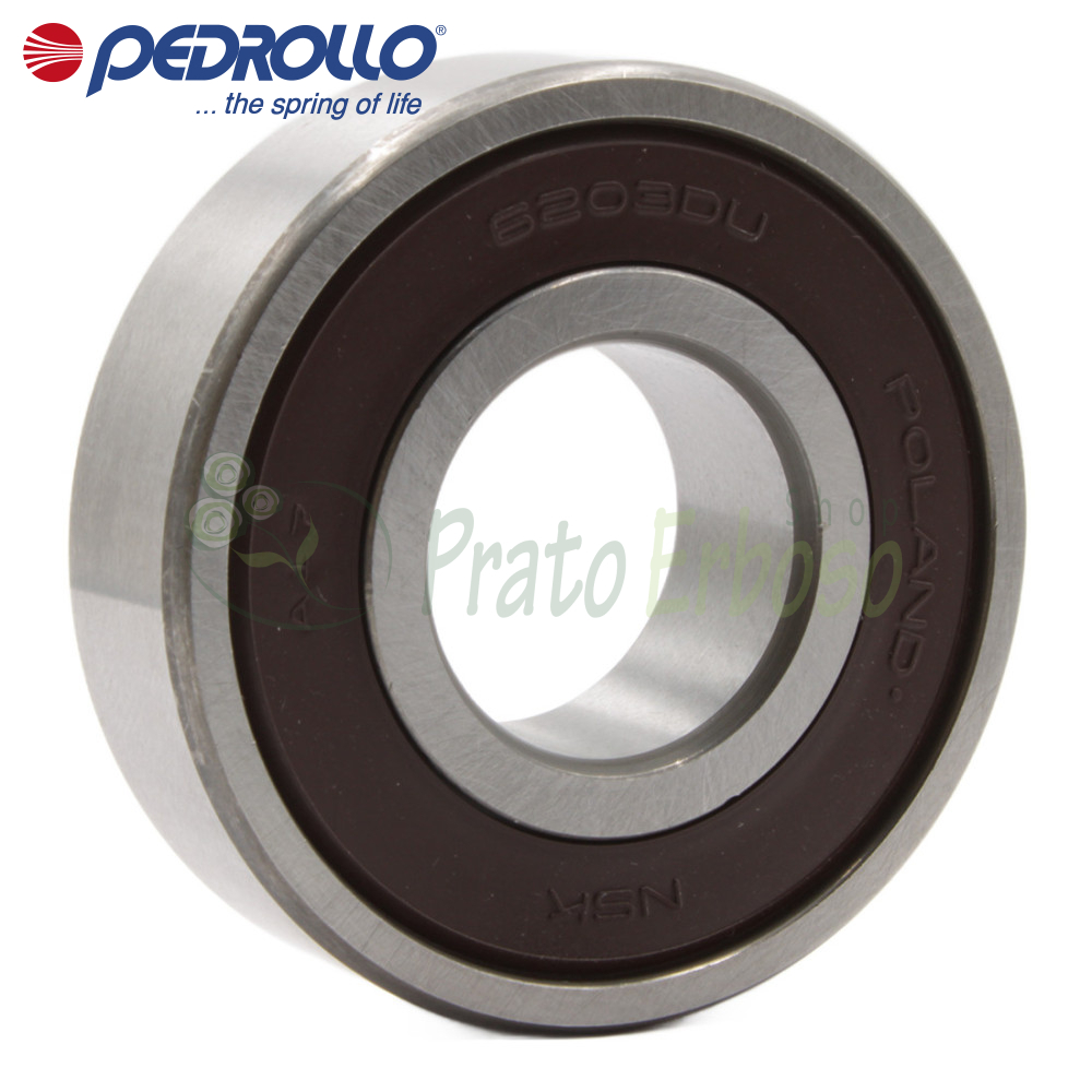 6203 2RS-C3 - Roulement à billes 17x40x12 mm - Pedrollo