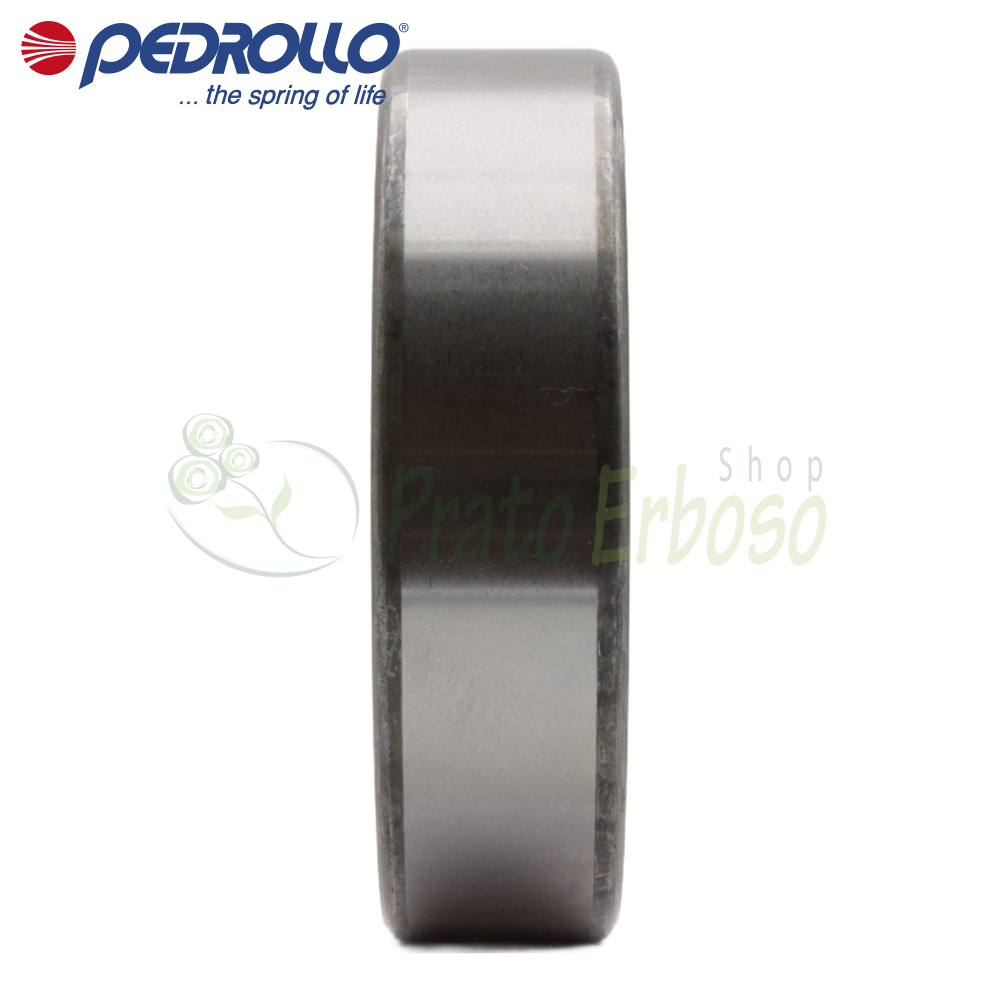 6206 ZZ-C3 - Ball bearing 30x62x16 mm - Pedrollo