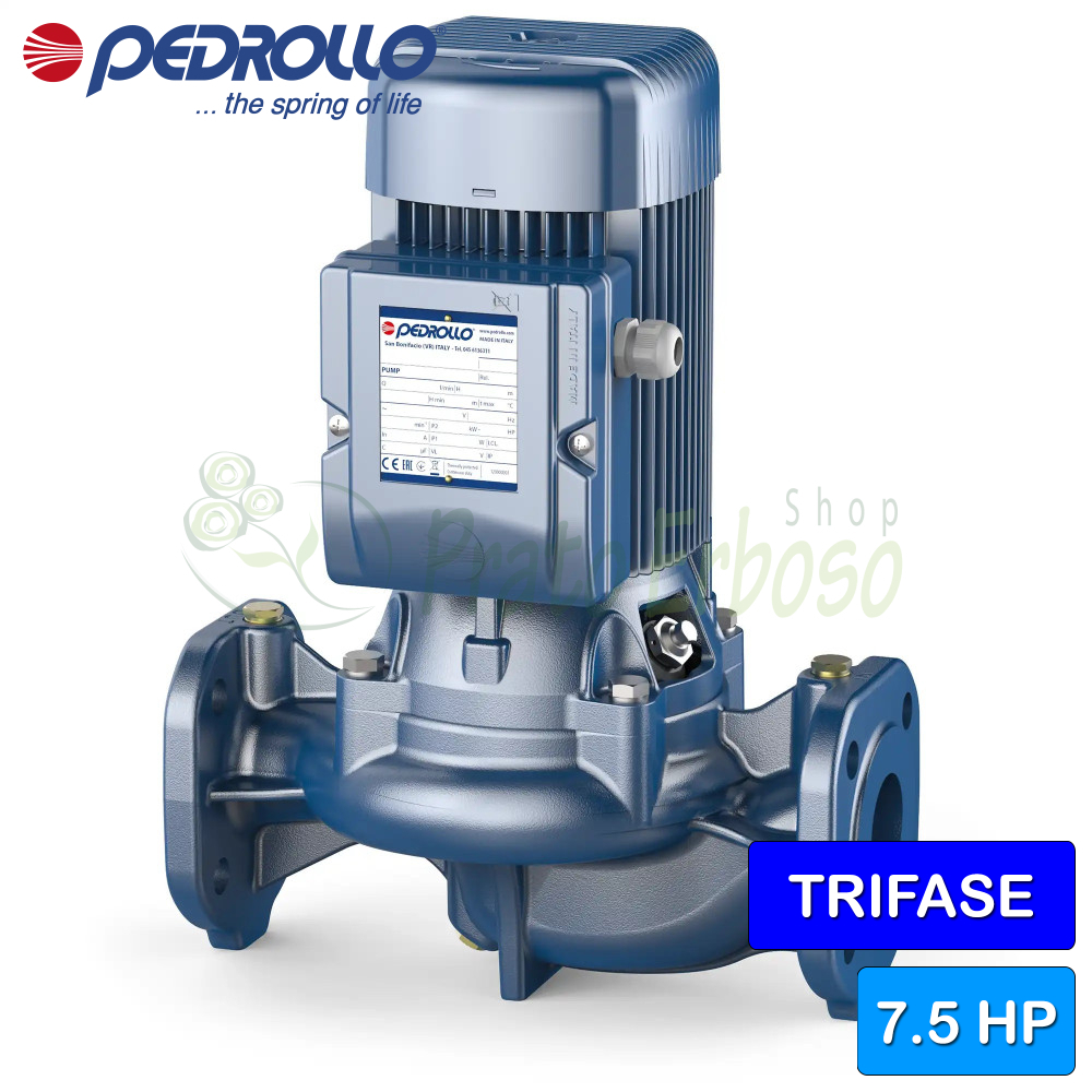 WR 65/160B - 7.5 HP Three-Phase Centrifugal Electric Pump - Pedrollo