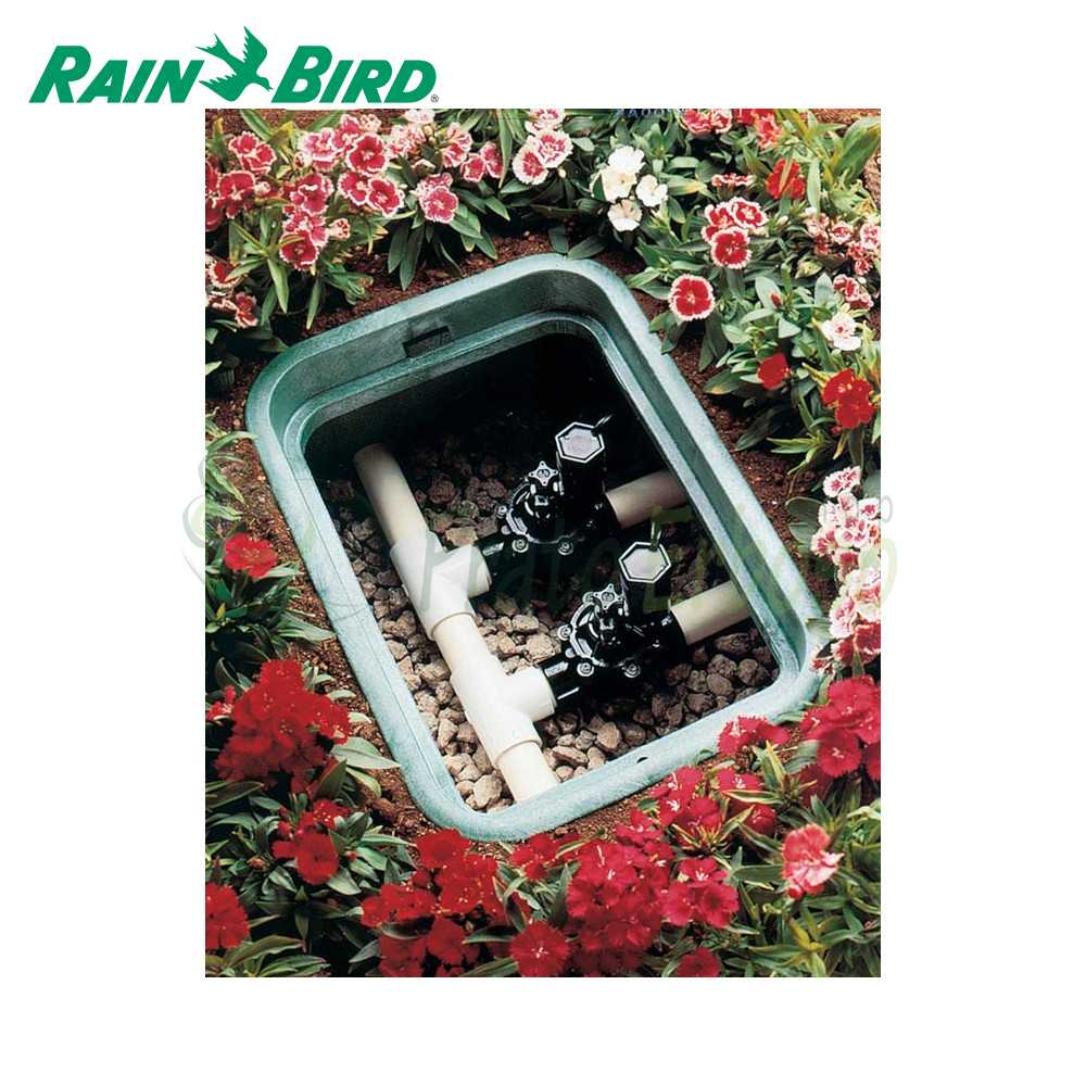 100-DVF - Elettrovalvola da 1" - Rain Bird
