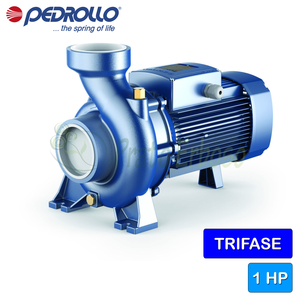 HF 4 - Elettropompa centrifuga trifase da 1 HP - Pedrollo