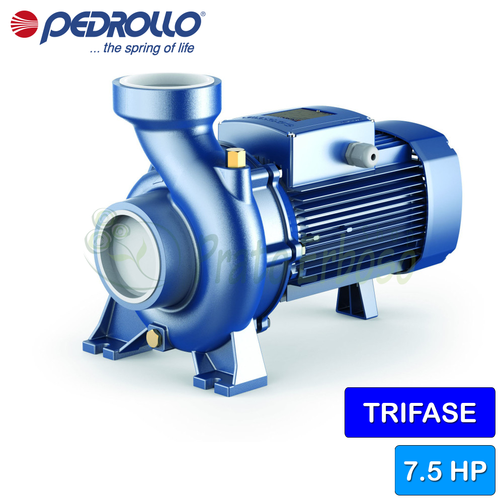 HF 30B - 7.5 HP three-phase centrifugal electric pump - Pedrollo