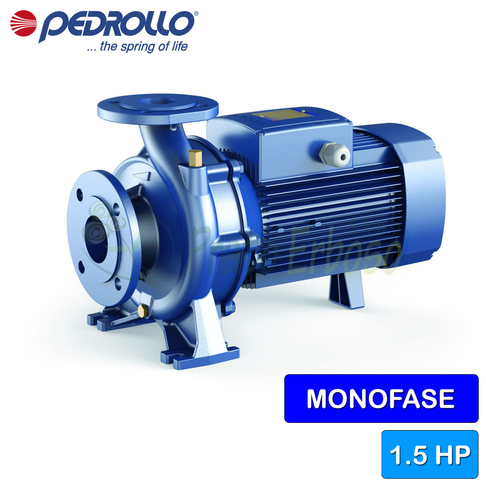 Fm 40/125C - Elettropompa centrifuga normalizzata monofase da 1.5 HP - Pedrollo