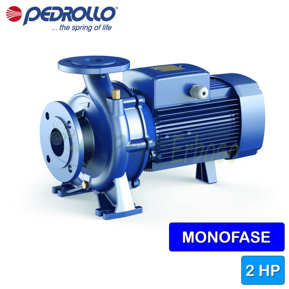 Fm 40/125/B - electric Pump, centrifugal normalized single-phase