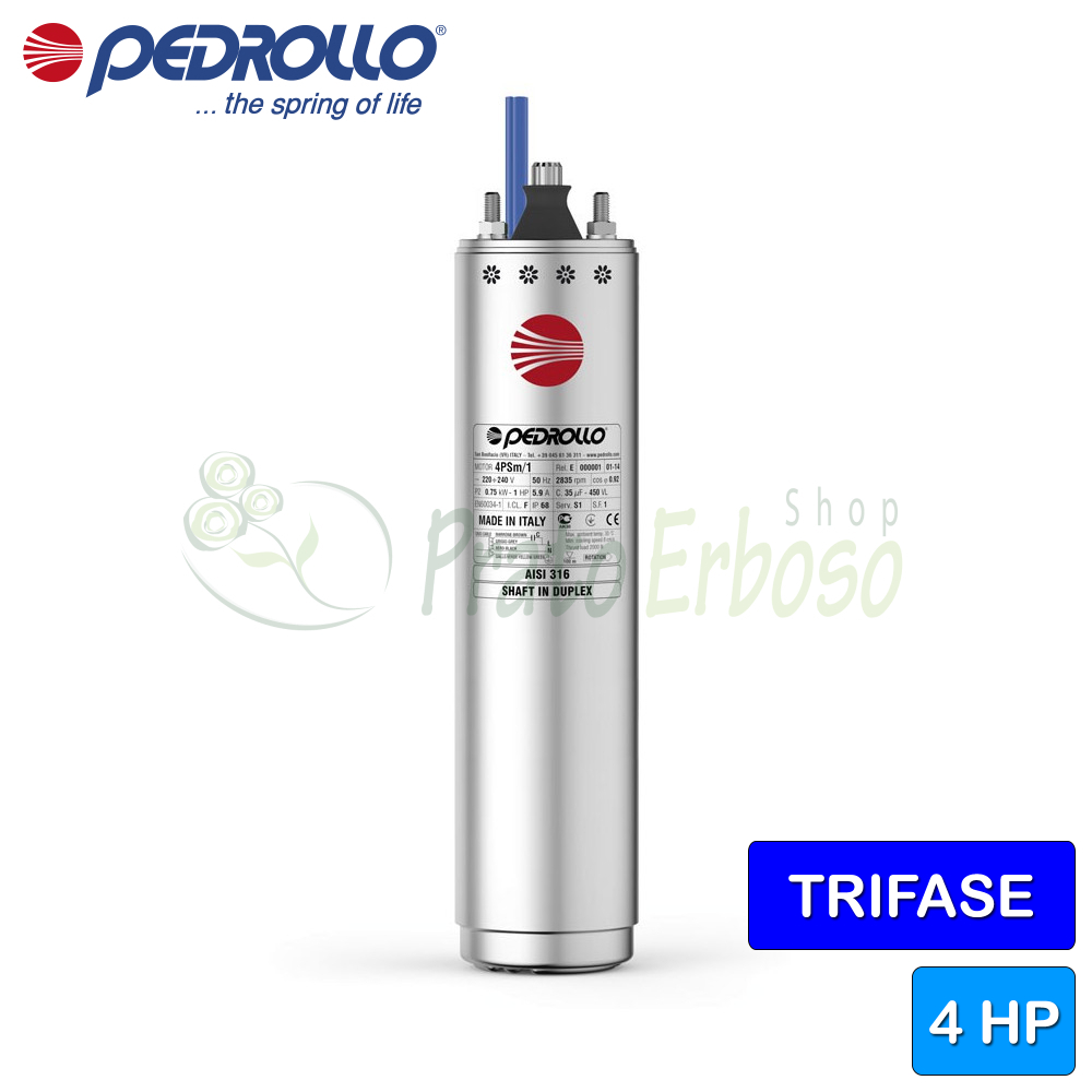 4PS/4 - 4 HP three-phase encapsulated motor - Pedrollo