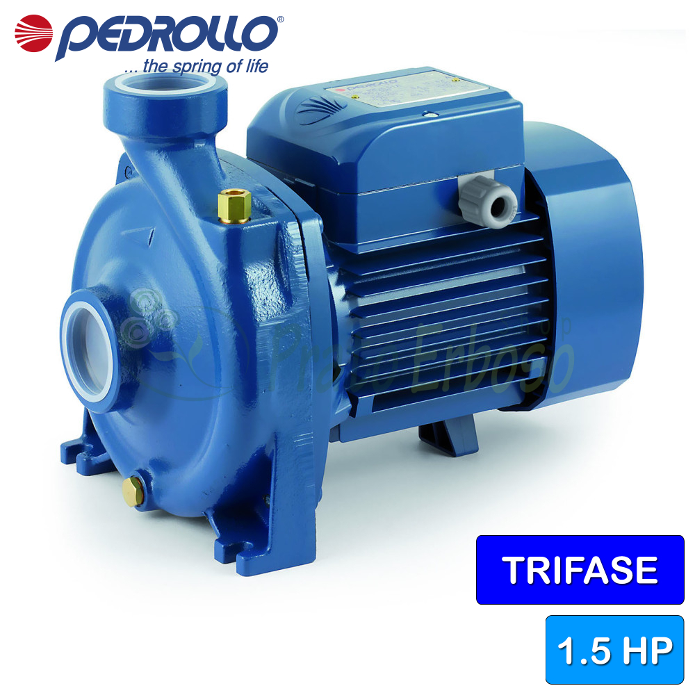 HF 5BM - Electrobomba centrífuga trifásica de 1,5 HP - Pedrollo