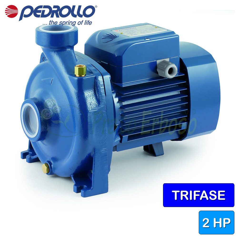HF 5AM - Elettropompa centrifuga trifase da 2 HP - Pedrollo