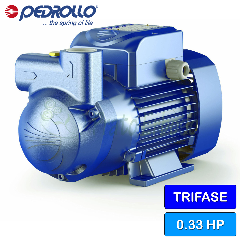 CK 50-BP - Three-phase self-priming liquid ring electric pump - Pedrollo