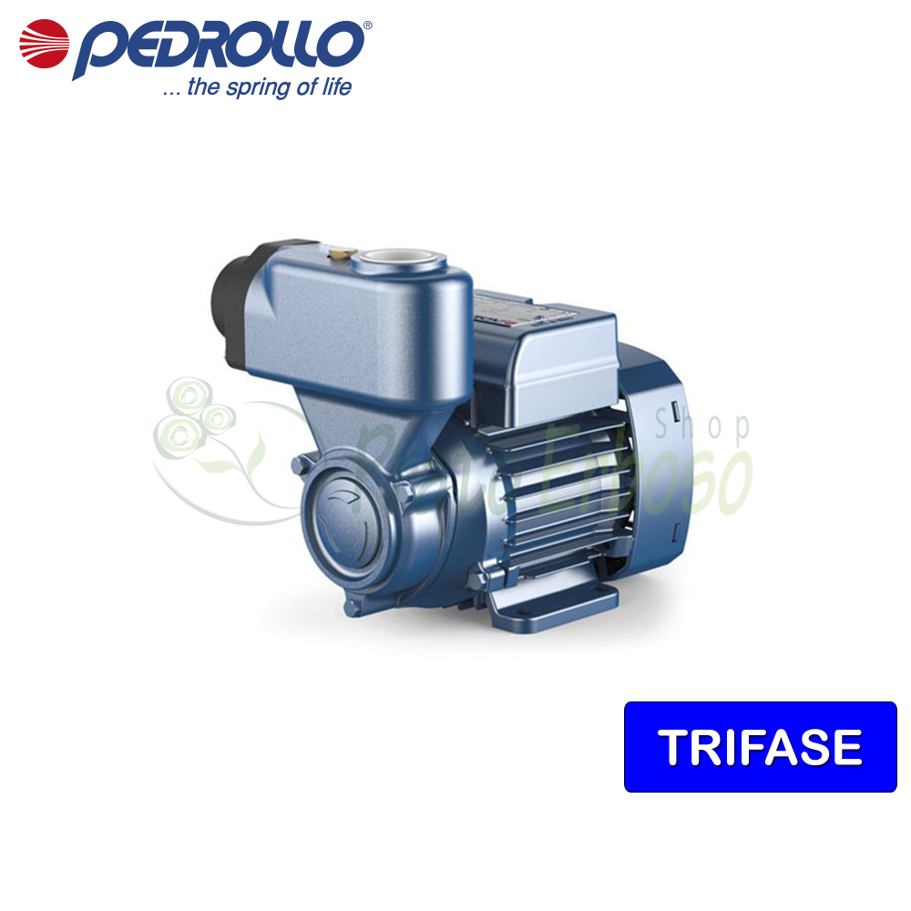 PKS 60 - electric Pump, self-priming with impeller device three-phase