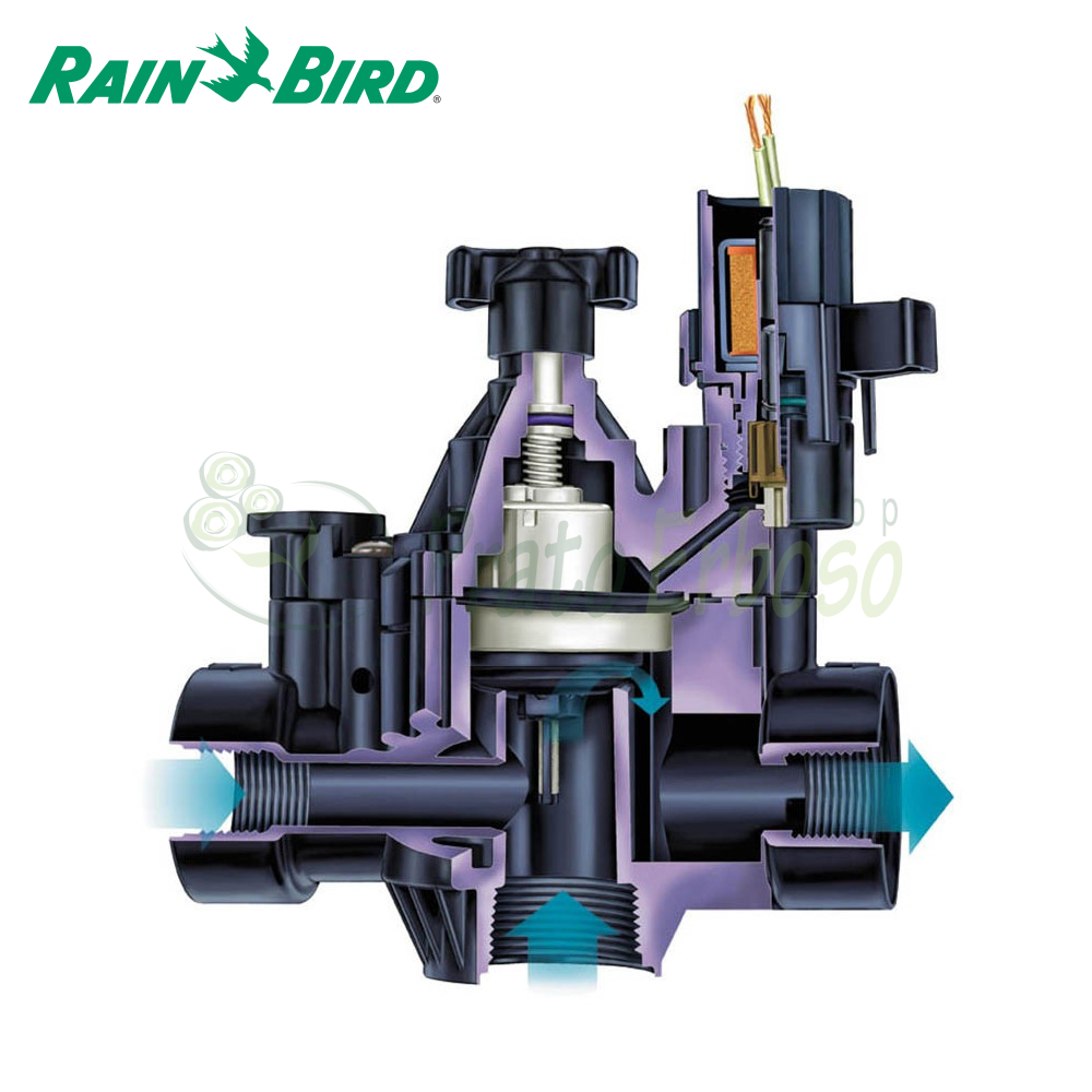 200-PGA - a supapei Electromagnetice 2" - Rain Bird