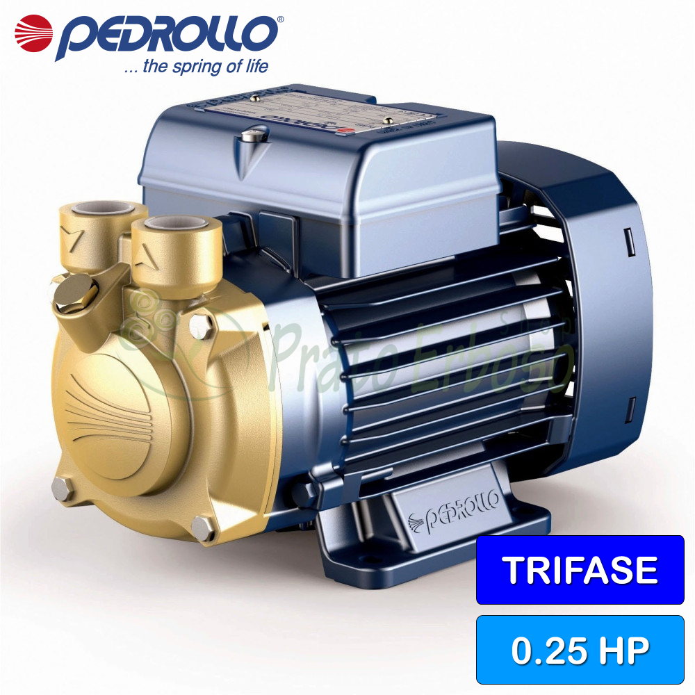 PV 55 – Elektropumpe mit dreiphasigem Peripherallaufrad mit 0,25 PS