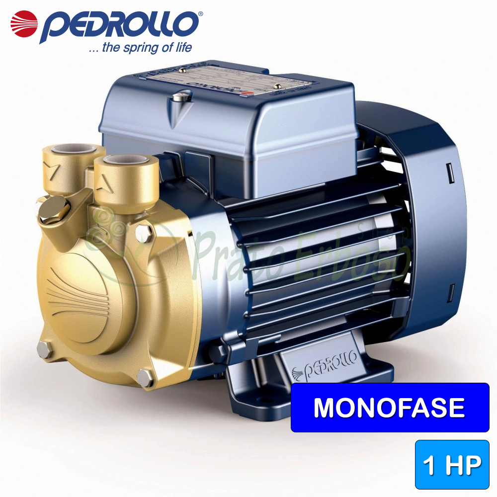 PVm 70 - 1 HP single-phase peripheral impeller electric pump - Pedrollo