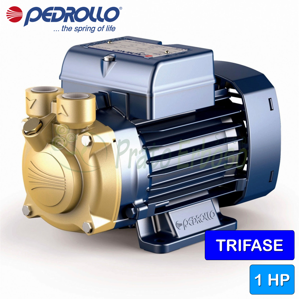 PV 90 - Elettropompa con girante periferica trifase da 1 HP - Pedrollo