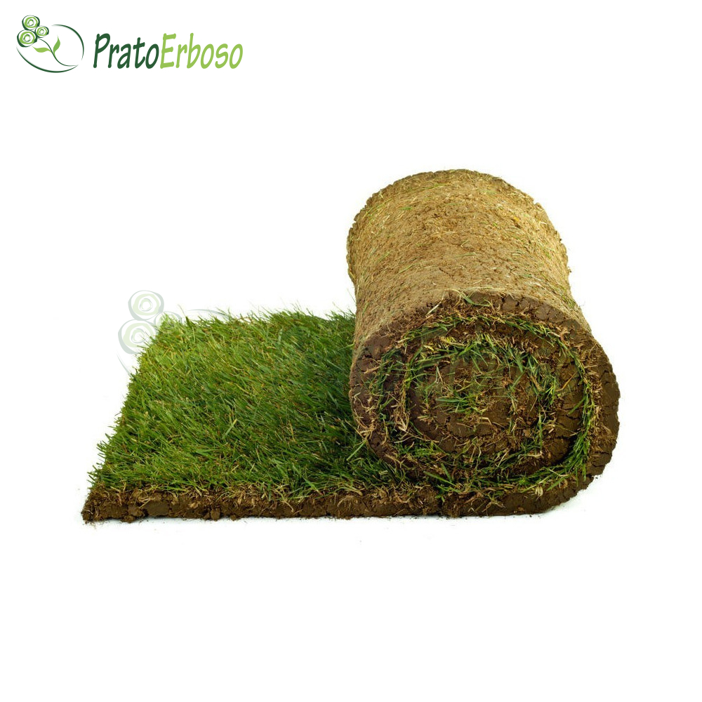 200 mètres carrés de pelouse prêts en rouleaux - Prato Erboso