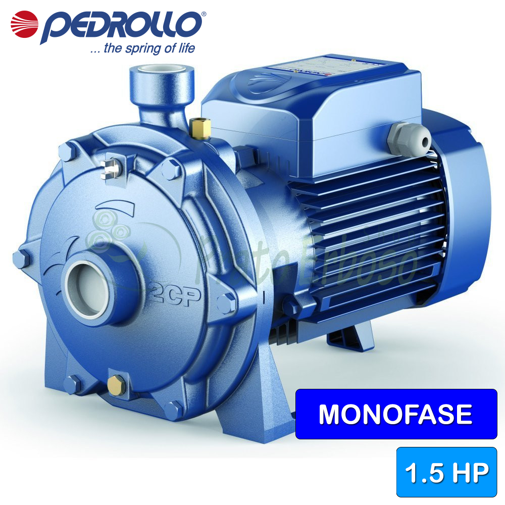 2CPm 25/14B - Elettropompa centrifuga bigirante monofase da 1.5 HP
