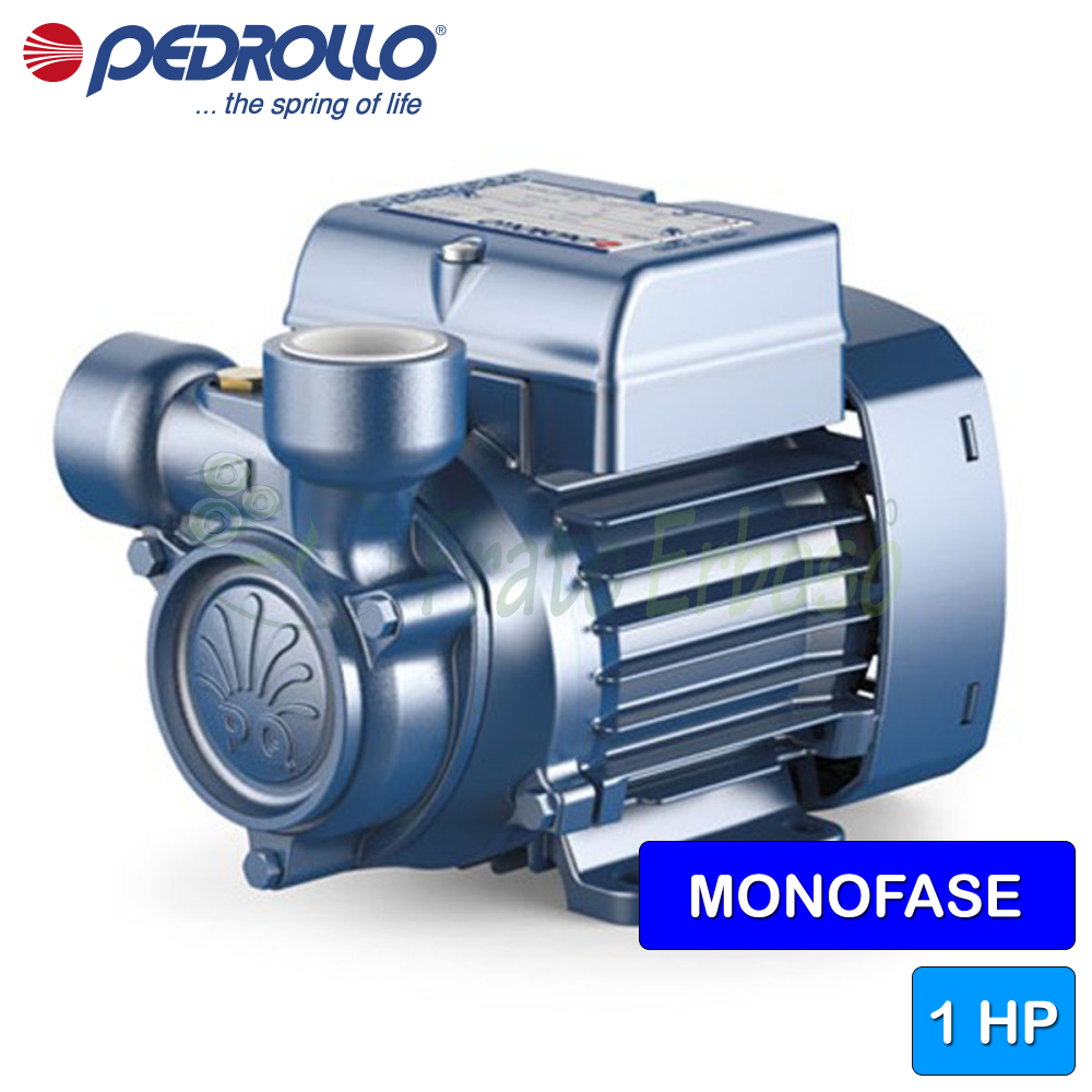 PQm 90 - 1 HP single-phase peripheral impeller electric pump - Pedrollo