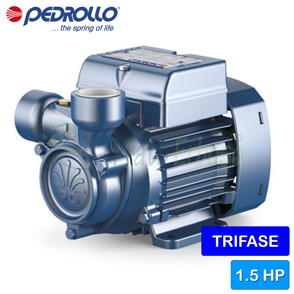 PQ 100 - Pompe électrique avec roue périphérique triphasée de 1,5 CV