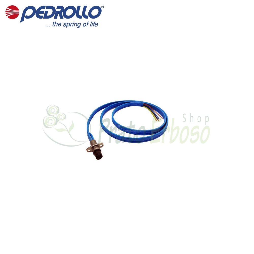 4G2 10m - Integral cable with 10m connector - Pedrollo