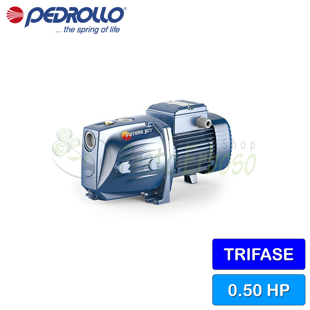 FUTURE JET 1C - Three-phase self-priming electric pump 0.50 HP - Pedrollo