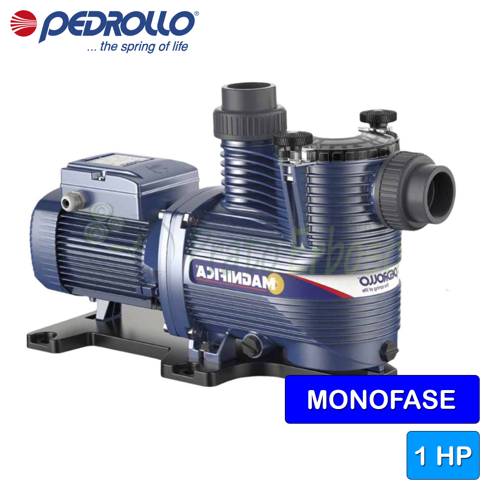 MAGNIFICA 2m - 1 HP Single Phase Pool Pump - Pedrollo